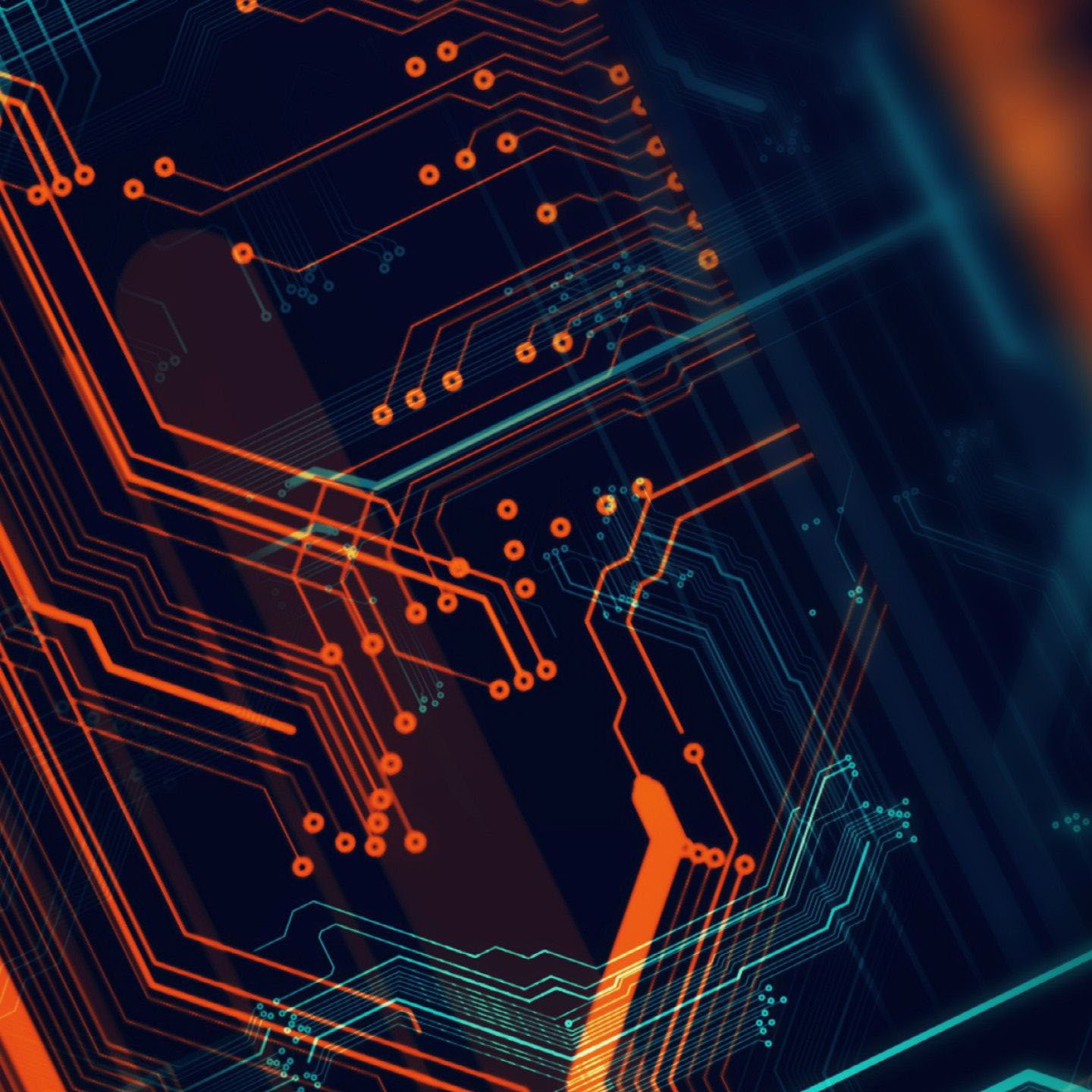 About Us – Nasrat Shirzai